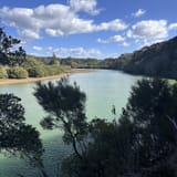 Waitangi to Haruru Falls Walk, Northland, New Zealand - 286 Reviews ...