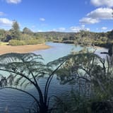 Waitangi to Haruru Falls Walk, Northland, New Zealand - 286 Reviews ...