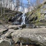 Jones Run Falls Trail, Virginia - 831 Reviews, Map | AllTrails