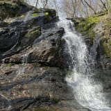 Jones Run Falls Trail, Virginia - 831 Reviews, Map | AllTrails