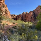 Johnson Canyon Trail, Utah - 973 Reviews, Map | AllTrails