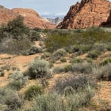 Johnson Canyon Trail, Utah - 973 Reviews, Map | AllTrails