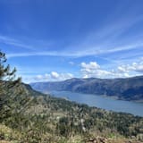 Cape Horn Loop Trail, Washington - 4,396 Reviews, Map | AllTrails