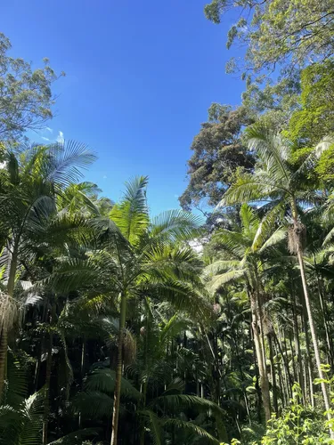 Best Hikes and Trails in Ravensbourne National Park | AllTrails