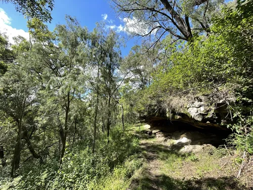 Best Hikes and Trails in Ravensbourne National Park | AllTrails