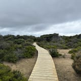 Cape Raoul Track: 1.526 foto - Tasmania, Australia | AllTrails