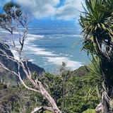 Mercer Bay Loop Track, Auckland, New Zealand - 634 Reviews, Map | AllTrails