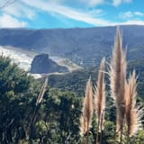 Mercer Bay Loop Track, Auckland, New Zealand - 634 Reviews, Map | AllTrails