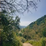 Temescal Canyon Trail, California - 9,959 Reviews, Map | AllTrails