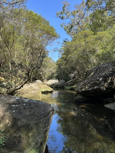 Best Hikes and Trails in Woomargama National Park | AllTrails