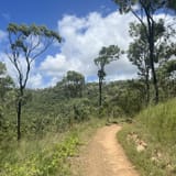 Mt Louisa Walking Track, Queensland, Australia - 231 Reviews, Map ...