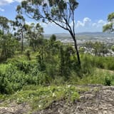 Mt Louisa Walking Track, Queensland, Australia - 231 Reviews, Map ...