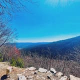 Thousand Steps, Pennsylvania - 1,303 Reviews, Map | AllTrails