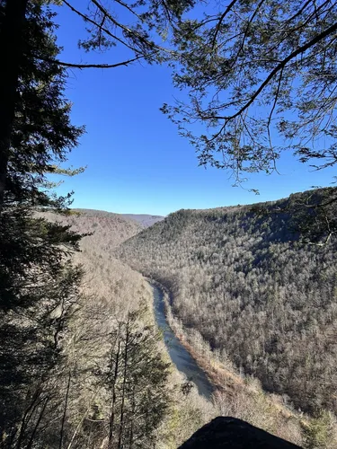 Best Hikes and Trails in Colton Point State Park | AllTrails