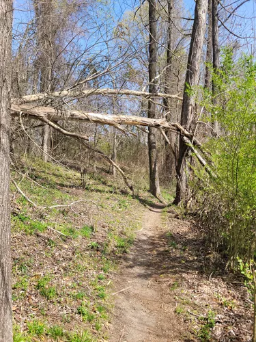 Best Easy Trails in Wolf River Nature Area | AllTrails