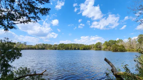 Best Hikes and Trails in Lone Star Lakes Park | AllTrails