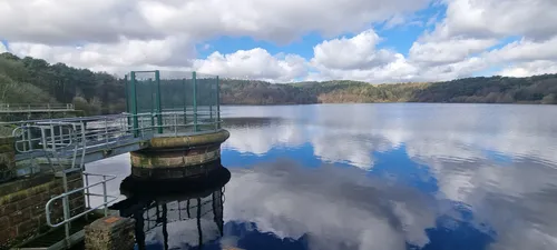 Best Hikes and Trails in Ogden Water Local Nature Reserve | AllTrails