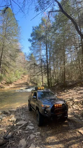 Best Off Road Driving Trails in Prentice Cooper State Forest | AllTrails