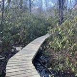 Table Rock, West Virginia - 256 Reviews, Map | AllTrails