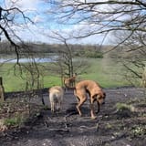 Roe Green Loop Line and Bridgewater Canal Circular, Greater Manchester ...
