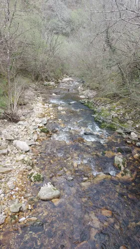 Best Historic Site Trails in Ponga Nature Park | AllTrails