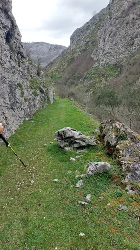 Best Hard Trails in Ponga Nature Park | AllTrails