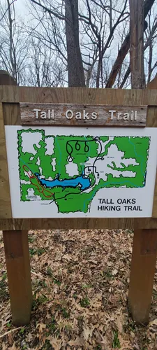 Best Forest Trails in Morrison | AllTrails