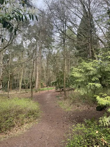 10 Best Walking Trails in Brandon Country Park | AllTrails