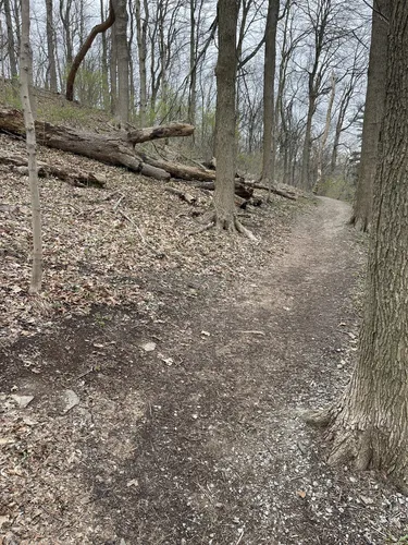 Best Hikes and Trails in Boyce Mayview Park | AllTrails