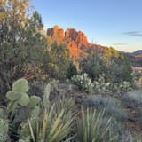 Secret Slick Rock Trail, Arizona - 1,037 Reviews, Map | AllTrails