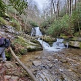 Lumber Ridge Trail, Tennessee - 211 Reviews, Map | AllTrails