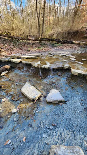 Best Hikes and Trails in Stanberry Park | AllTrails