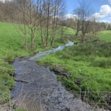 Surrey Three Peaks - Boxhill, Holmbury Hill, Leith Hill, Surrey ...