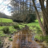 Surrey Three Peaks - Boxhill, Holmbury Hill, Leith Hill, Surrey ...