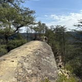Sky Bridge Trail, Kentucky - 2,427 Reviews, Map | AllTrails