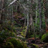 Great Range Loop Trail, New York - 369 Reviews, Map | AllTrails