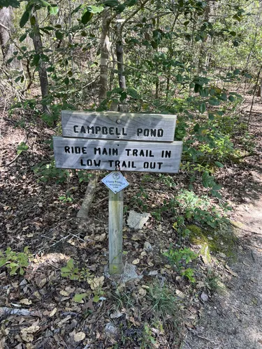 Best Hikes and Trails in Wedgefield | AllTrails