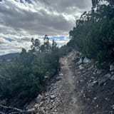 Carlito Springs Loop, New Mexico - 462 Reviews, Map | AllTrails