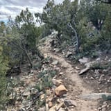 Carlito Springs Loop, New Mexico - 462 Reviews, Map | AllTrails