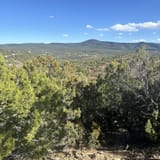 Carlito Springs Loop, New Mexico - 462 Reviews, Map | AllTrails