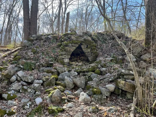 Best Hikes and Trails in Johnsonburg Swamp Preserve | AllTrails