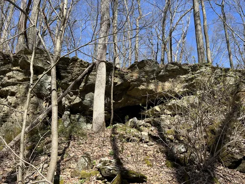 Best Hikes and Trails in Johnsonburg Swamp Preserve | AllTrails