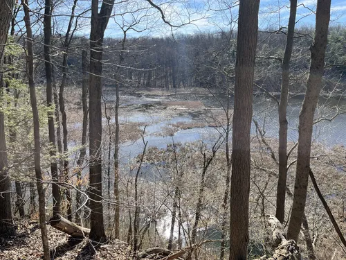 Best Hikes and Trails in Johnsonburg Swamp Preserve | AllTrails