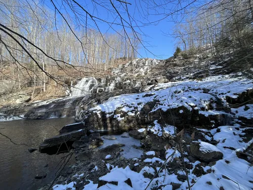 Best Kid Friendly Trails in Spring Brook | AllTrails