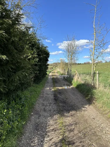 Best Hikes and Trails in Tring Park | AllTrails