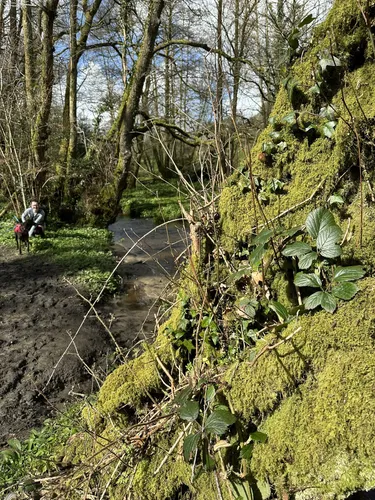 Best Camping Trails in Cranborne Chase and West Wiltshire Downs ...