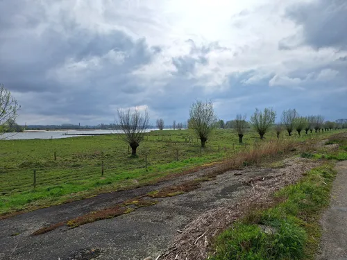 Best Forest Trails in Lent | AllTrails