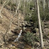 Douglas Falls Trail, West Virginia - 321 Reviews, Map | AllTrails