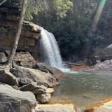 Douglas Falls Trail, West Virginia - 321 Reviews, Map | AllTrails