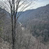 Douglas Falls Trail, West Virginia - 321 Reviews, Map | AllTrails